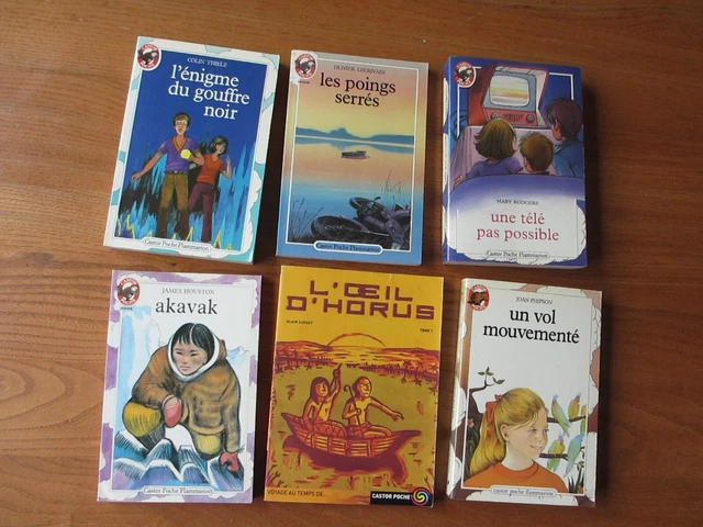 LOT DE 6 livres jeunesse collection « Castor Poche » de Flammarion EUR 12,50 - PicClick FR